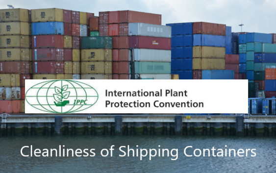 Cleanliness of Shipping Containers | Jalak Kargo Logistik